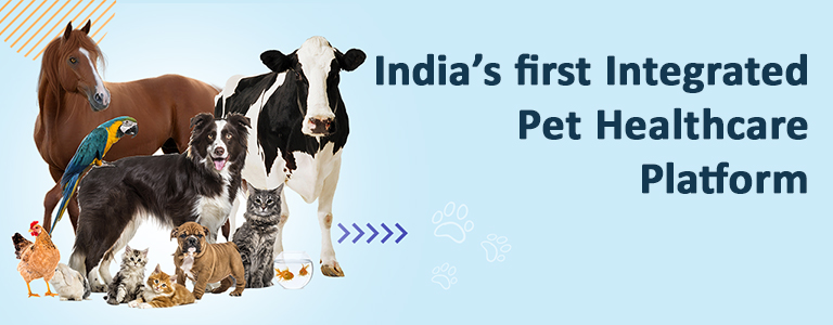 eVetsCare - Vet consultation with audio video